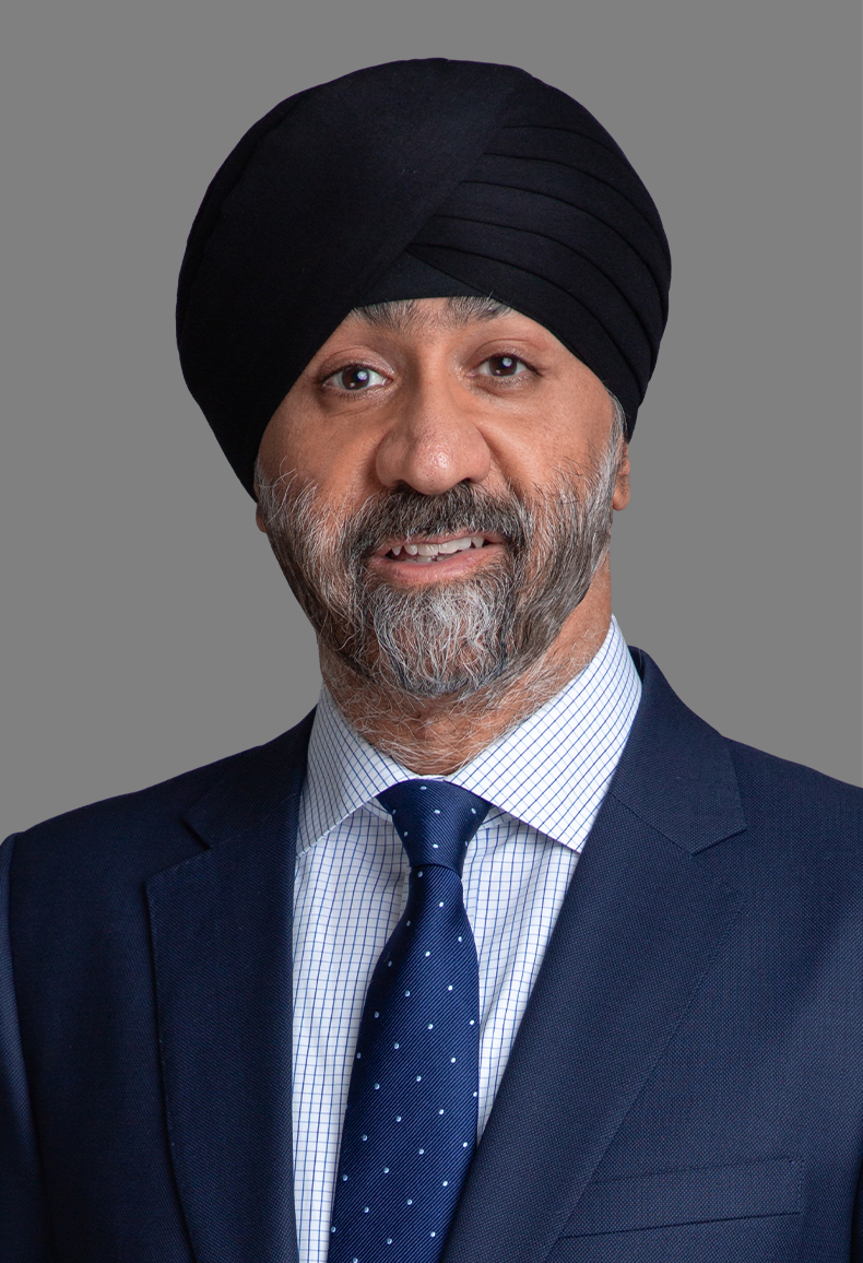 Harj Baura | Alvarez & Marsal | Management Consulting | Professional ...