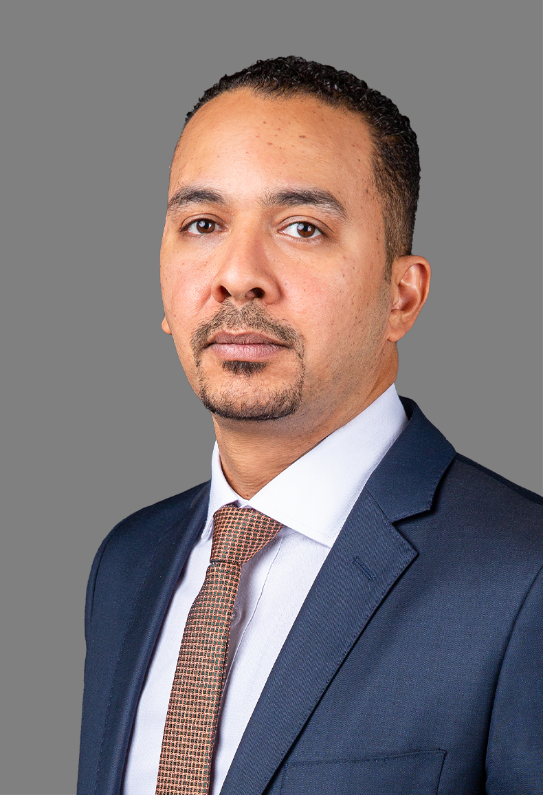 Mohamed Hamid | Alvarez & Marsal | Management Consulting | Professional ... Mohamed Hamid | Alvarez & Marsal | Management Consulting | Professional ...