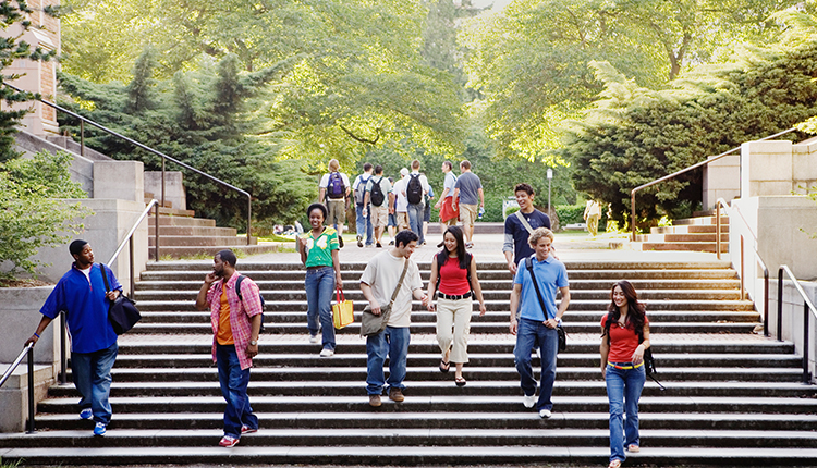 Case Study: 2,700 Bed Student Housing Portfolio | Alvarez & Marsal ...